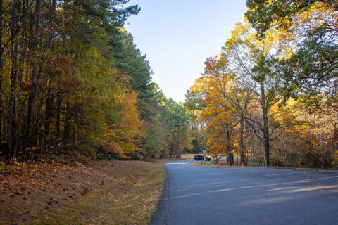 My first visit to Jetton Park on Lake Norman