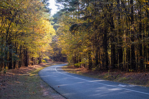 My first visit to Jetton Park on Lake Norman