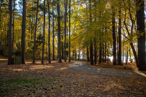 My first visit to Jetton Park on Lake Norman
