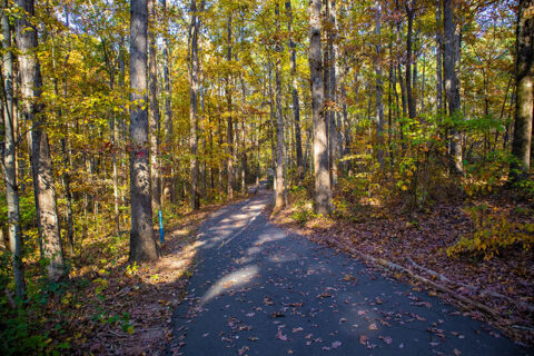 My first visit to Jetton Park on Lake Norman